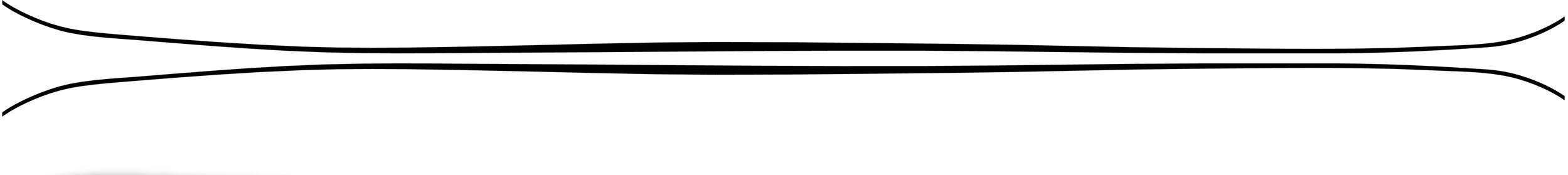 Daily — SURFACE SKIS