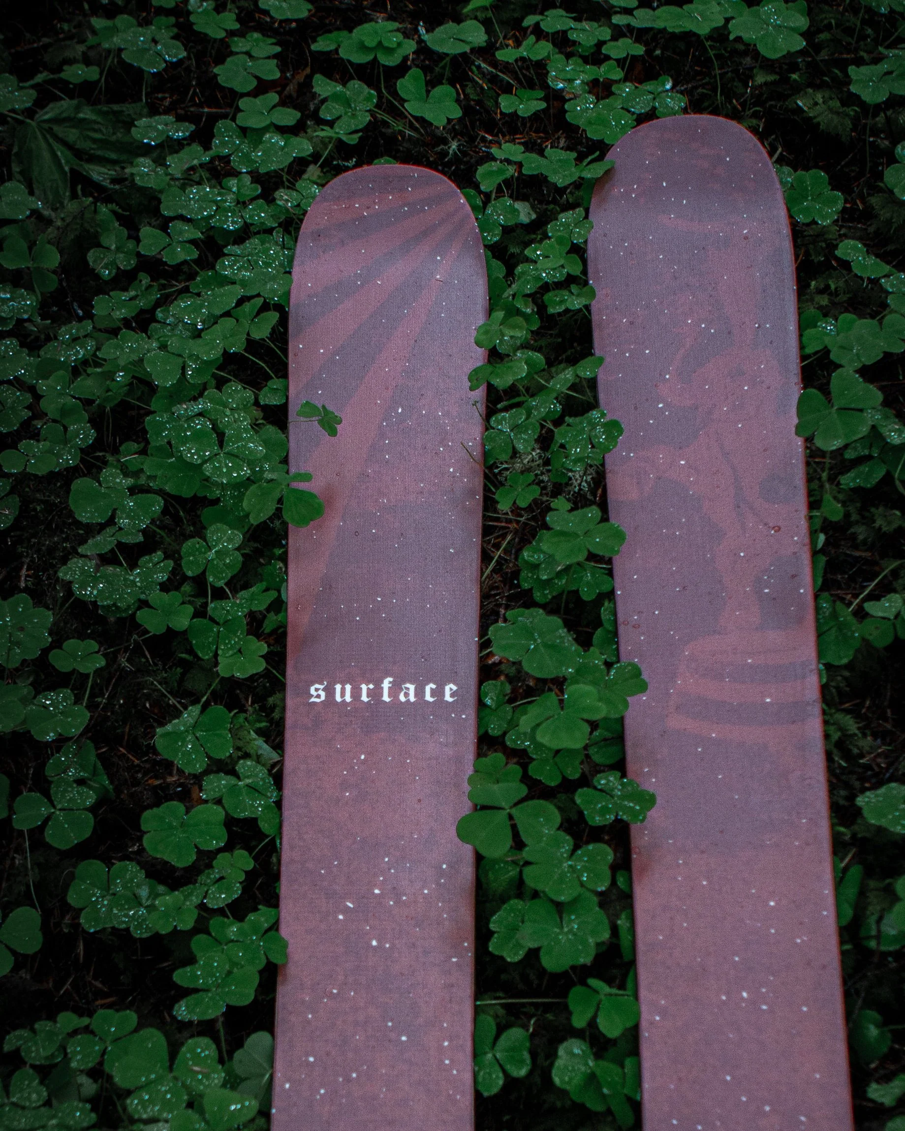 Daily — SURFACE SKIS