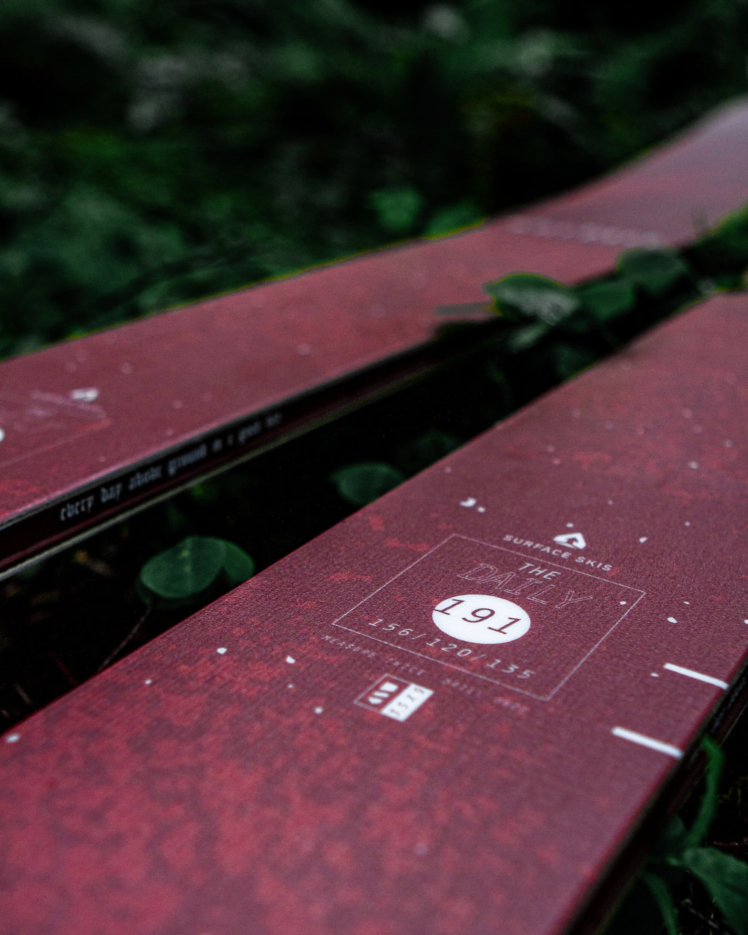 Daily — SURFACE SKIS