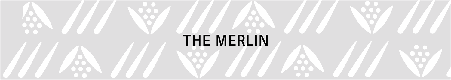 The Merlin 2024 — SURFACE SKIS