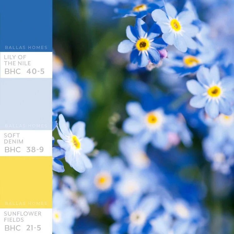 Color Palettes — BALLAS HOMES