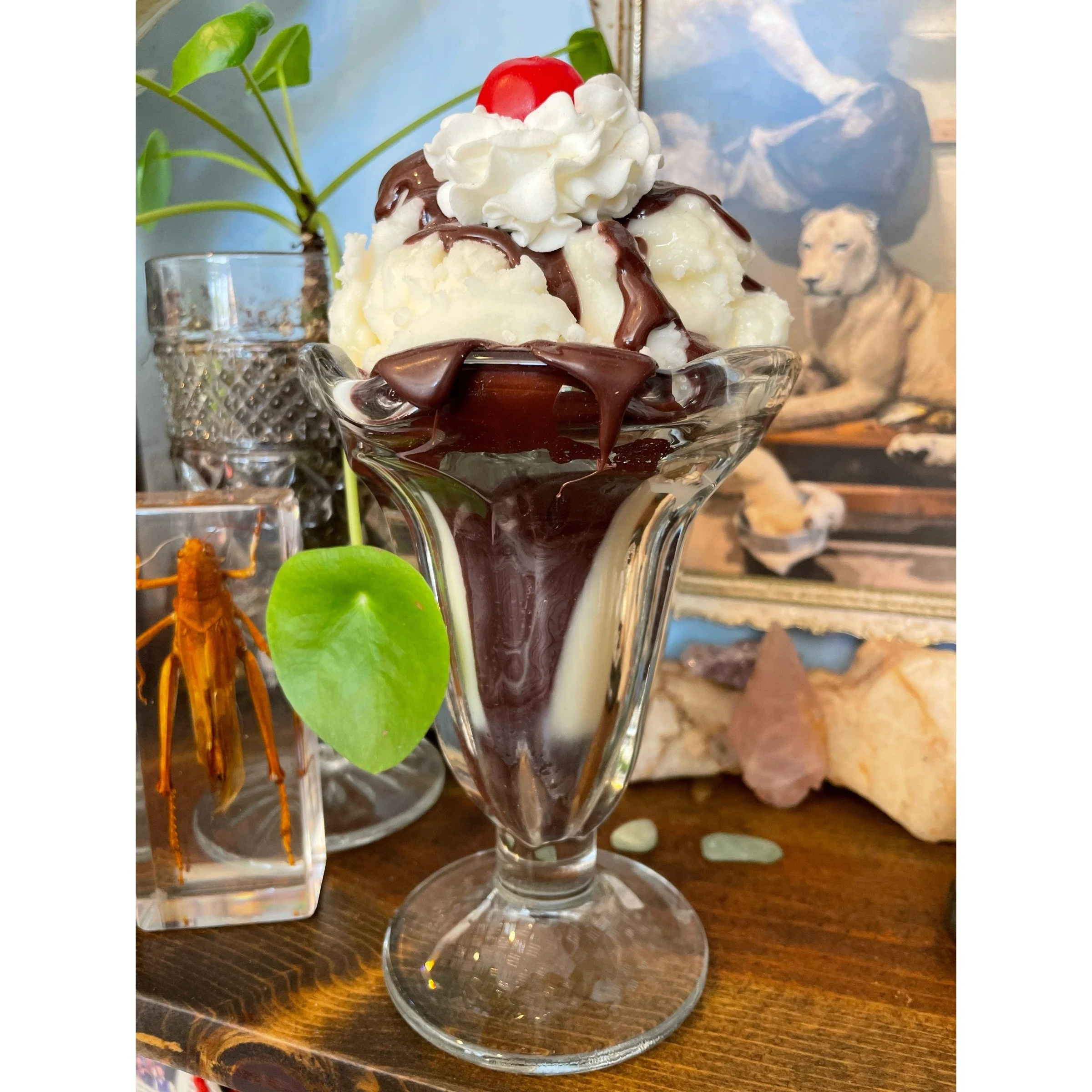 Trash Lamb Gallery's Unconventionally Curated Gift Shop in eclectic ...