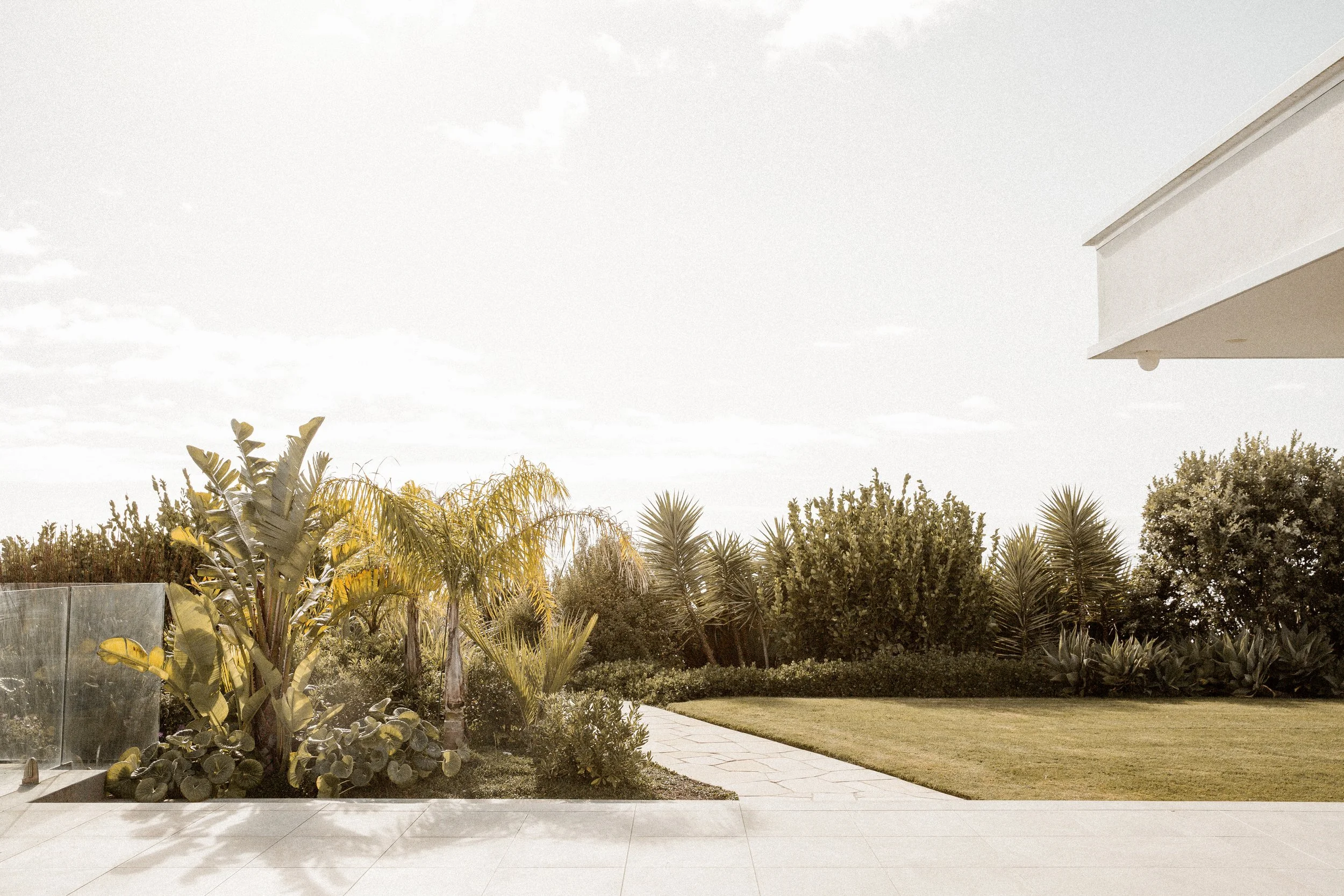 Meadow Landscape + Design Studio - Nelson