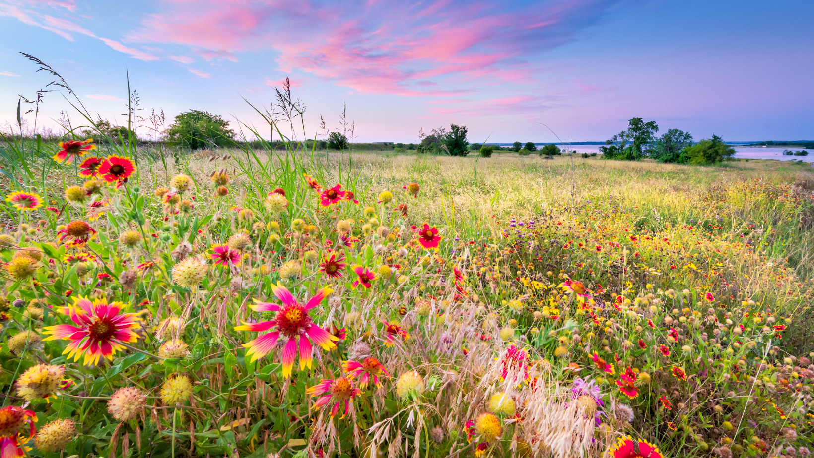 Wildflower Physical Therapy & Wellness