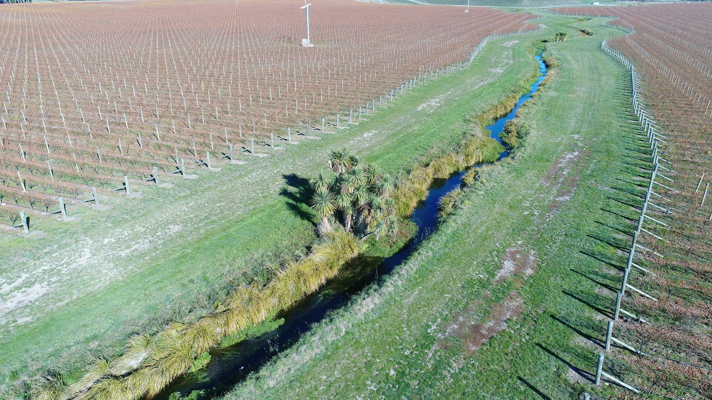 About FuturEcology & EmGuards cardboard plant guard