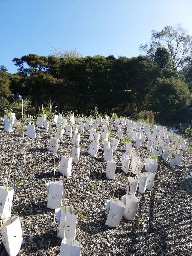 EmGuard ™ - environmentally friendly bio-degradable plant guards