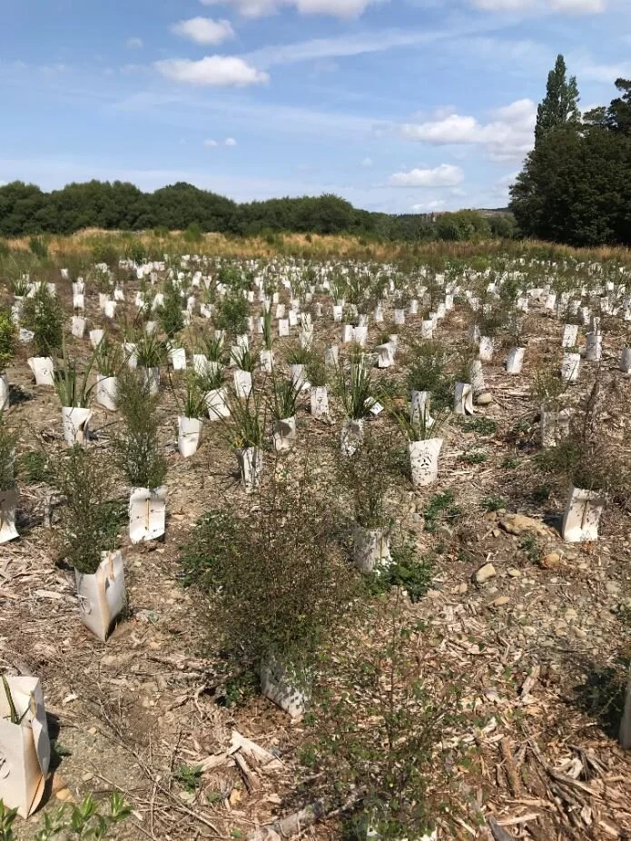 EmGuard ™ - environmentally friendly bio-degradable plant guards