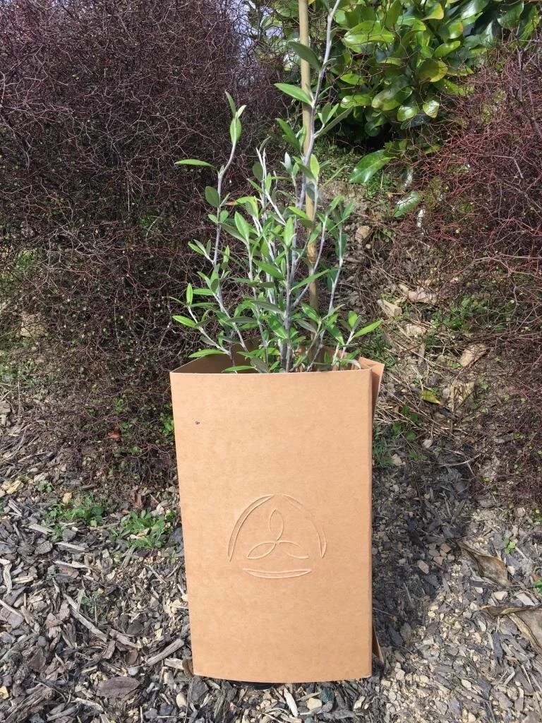 EmGuard ™ Pack of 50 — FuturEcology