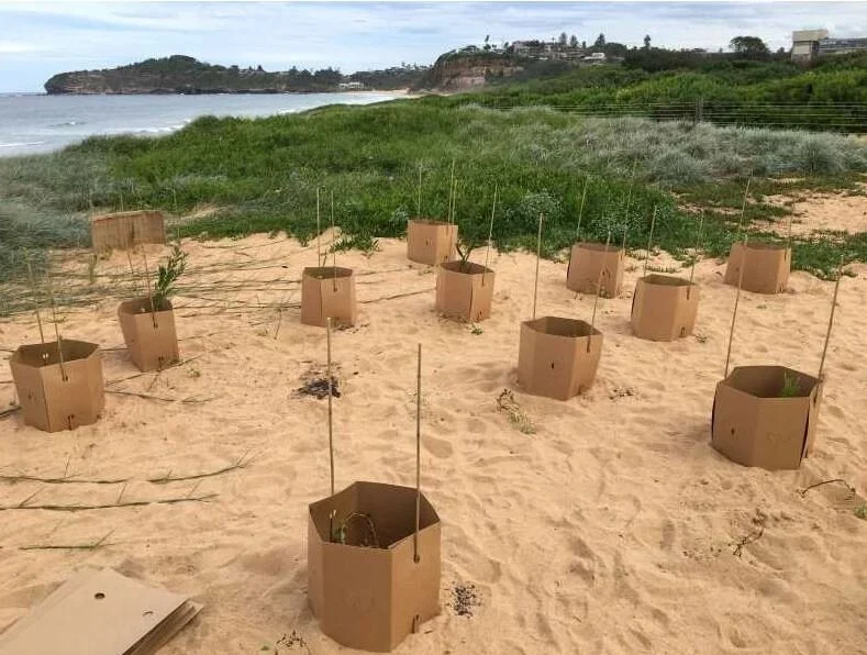 Spring has sprung — FuturEcology