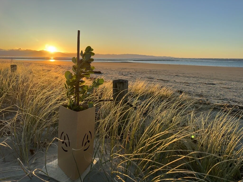 FuturEcology - EmGuard ™ biodegradable plant guards