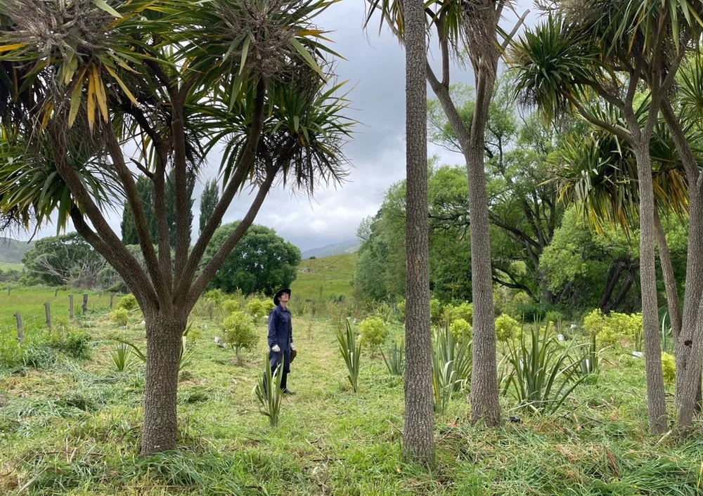 FuturEcology & EmGuard ™ November 2023 update — FuturEcology