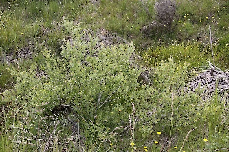 FuturEcology & EmGuard ™ October 2023 update. — FuturEcology