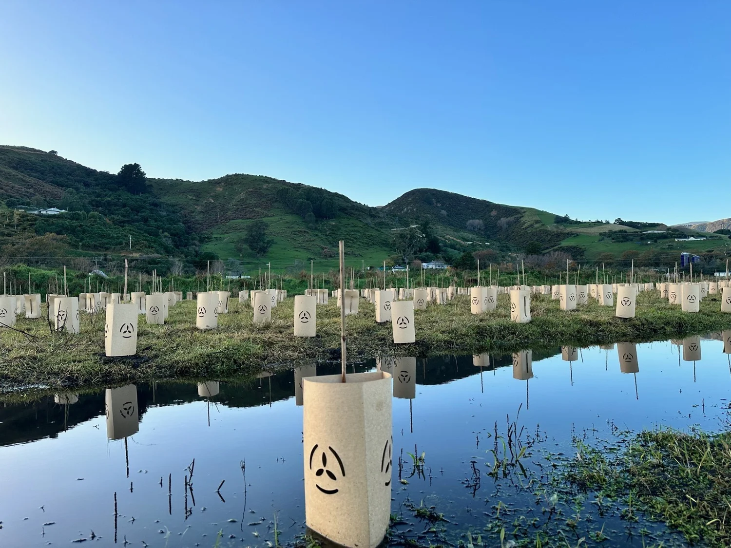 FuturEcology - EmGuard ™ biodegradable plant guards