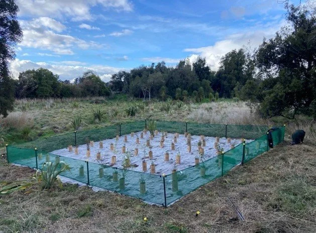 FuturEcology & EmGuard ™ July 2024 update — FuturEcology