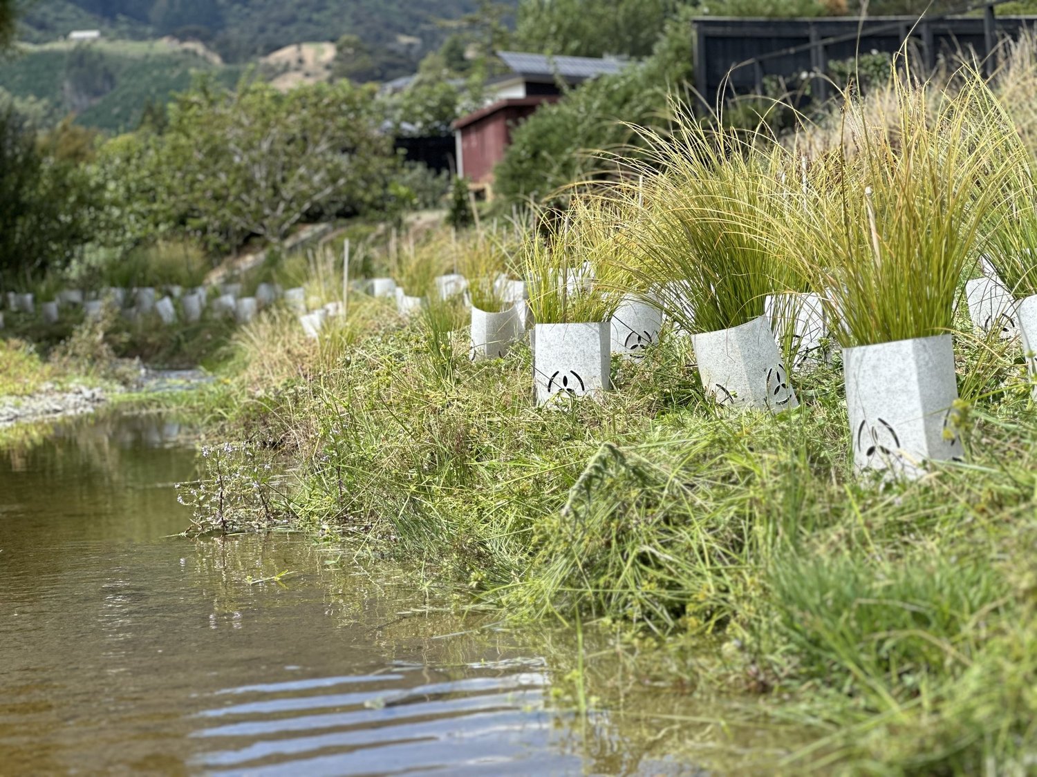 EmGuard ™ - environmentally friendly bio-degradable plant guards