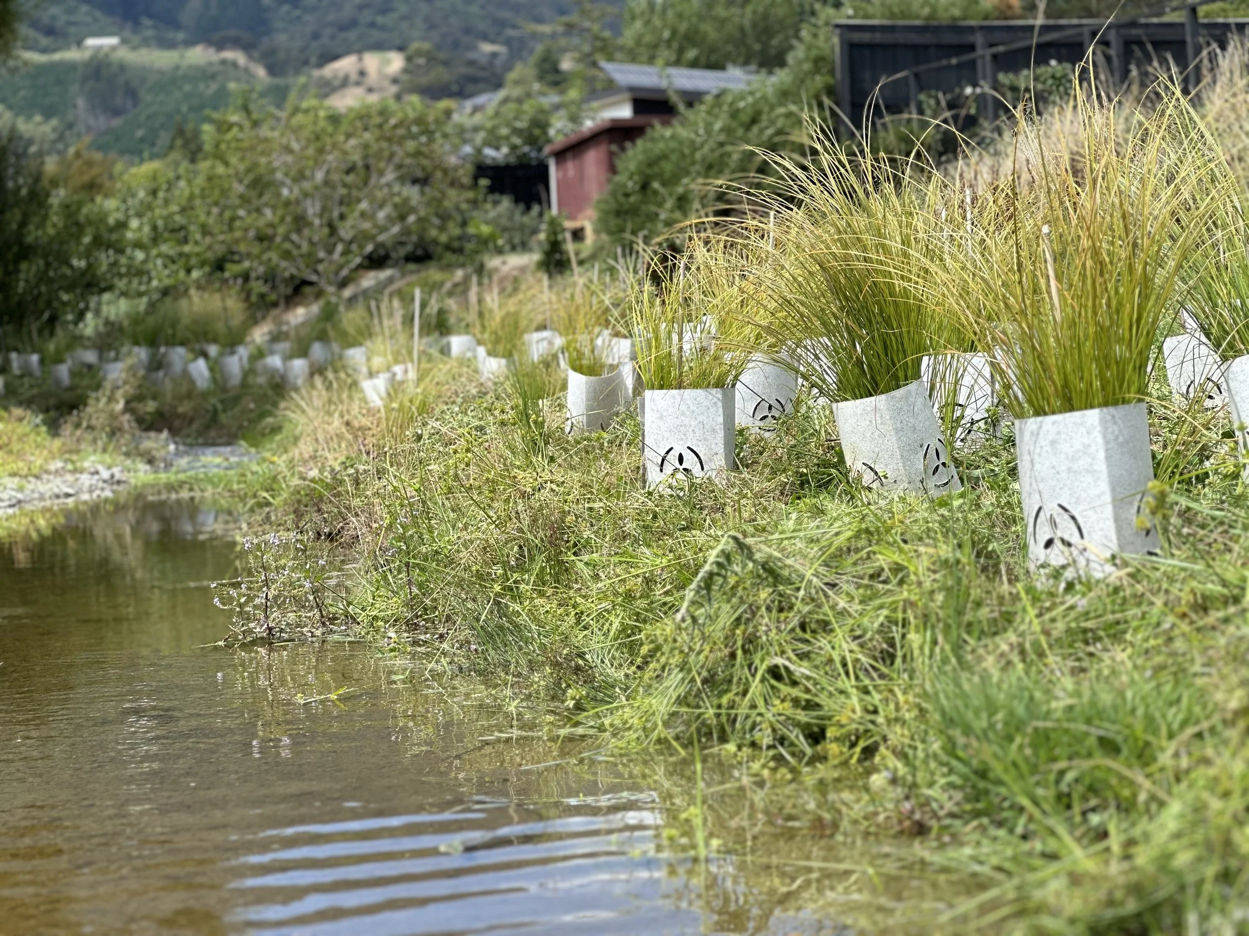 EmGuard ™ - environmentally friendly bio-degradable plant guards