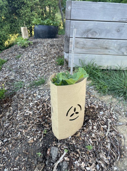 FuturEcology & EmGuard ™ December 2024 — FuturEcology