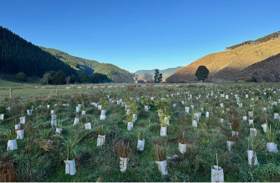 FuturEcology & EmGuard ™ May 2025 — FuturEcology