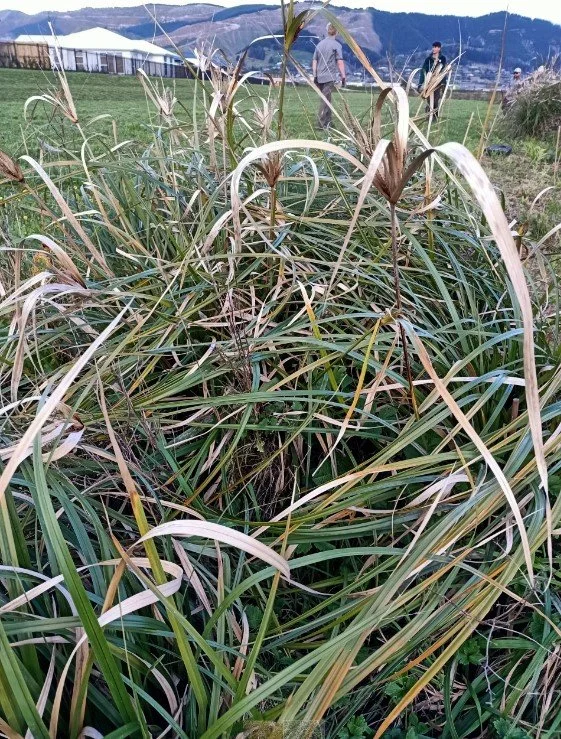 FuturEcology & EmGuard ™ July 2023 update. — FuturEcology