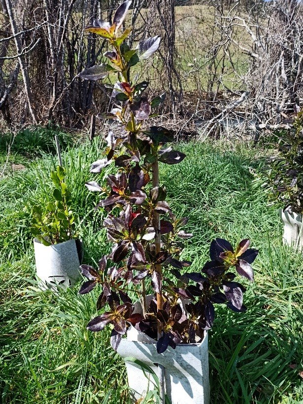 FuturEcology & EmGuard ™ September 2023 update. — FuturEcology