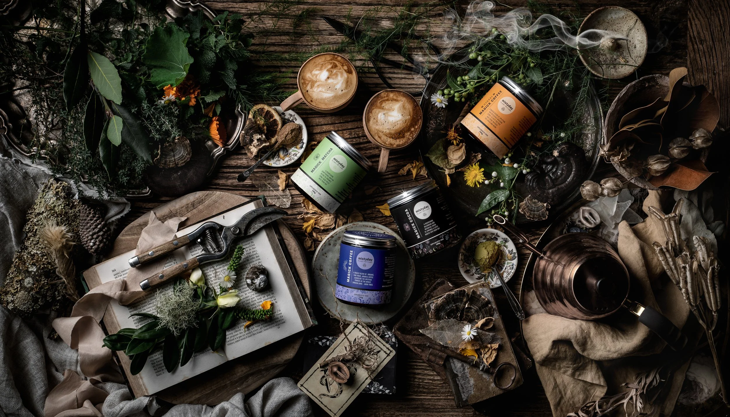 Medicinal Mushrooms & Tonic Herbs | Misty Day Plant Potions