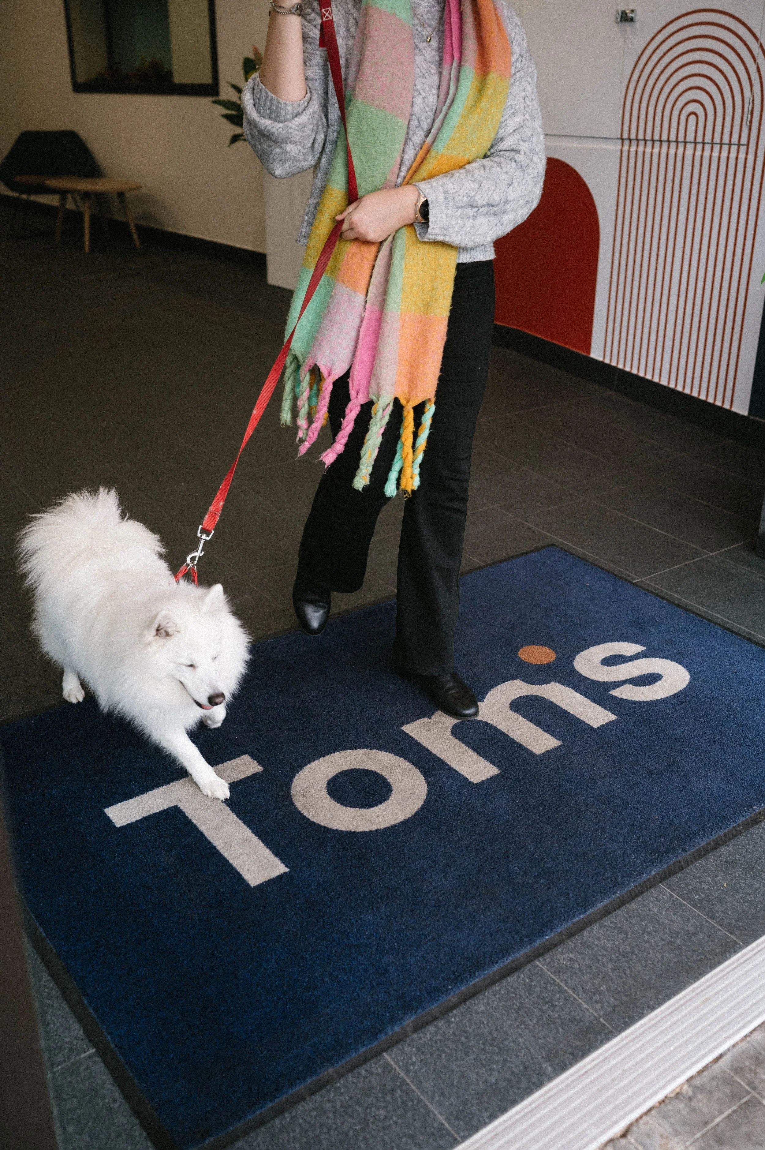 Pet-Friendly Hotel in the Adelaide CBD | Toms Court Hotel — Toms Court ...