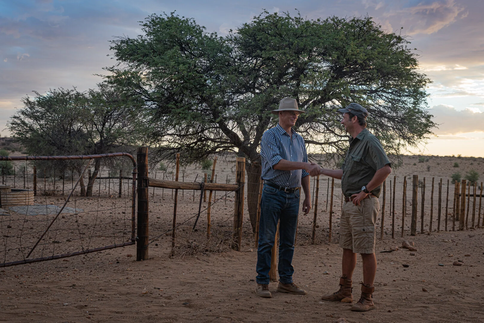 IZW Cheetah Research Project