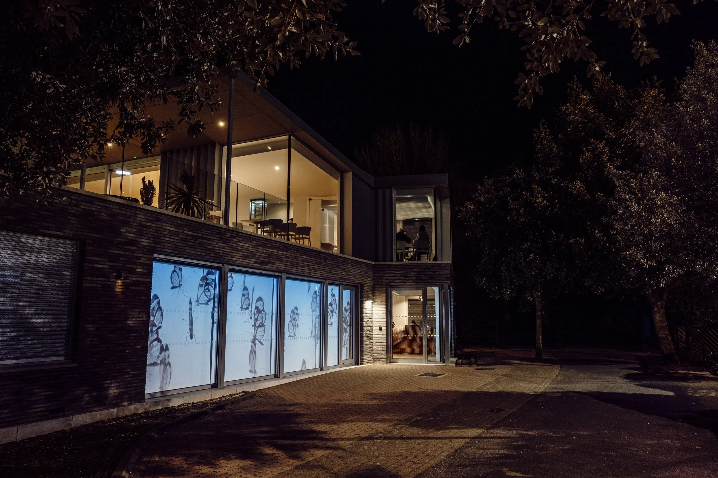 SDNA at CourtX — CourtX