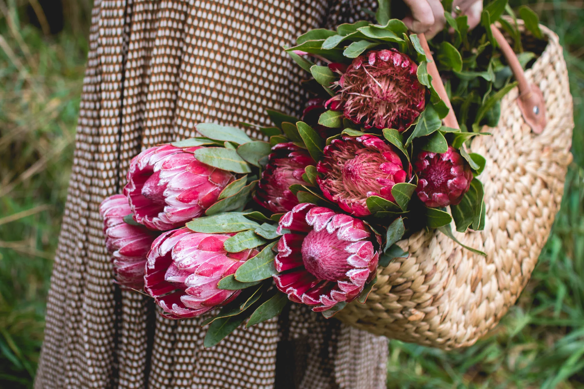 Gather Flower Farm