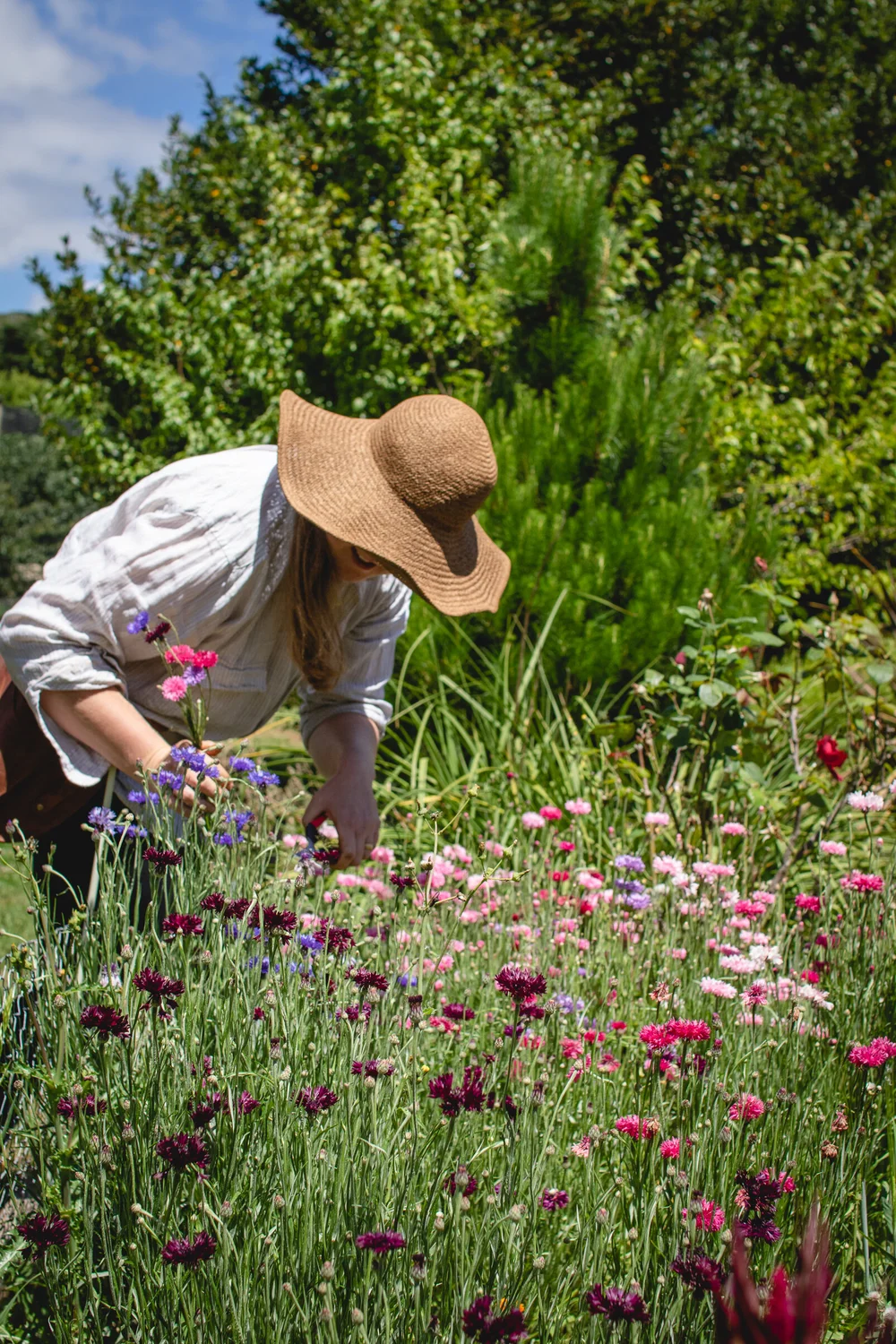 Workshops — Gather Flower Farm