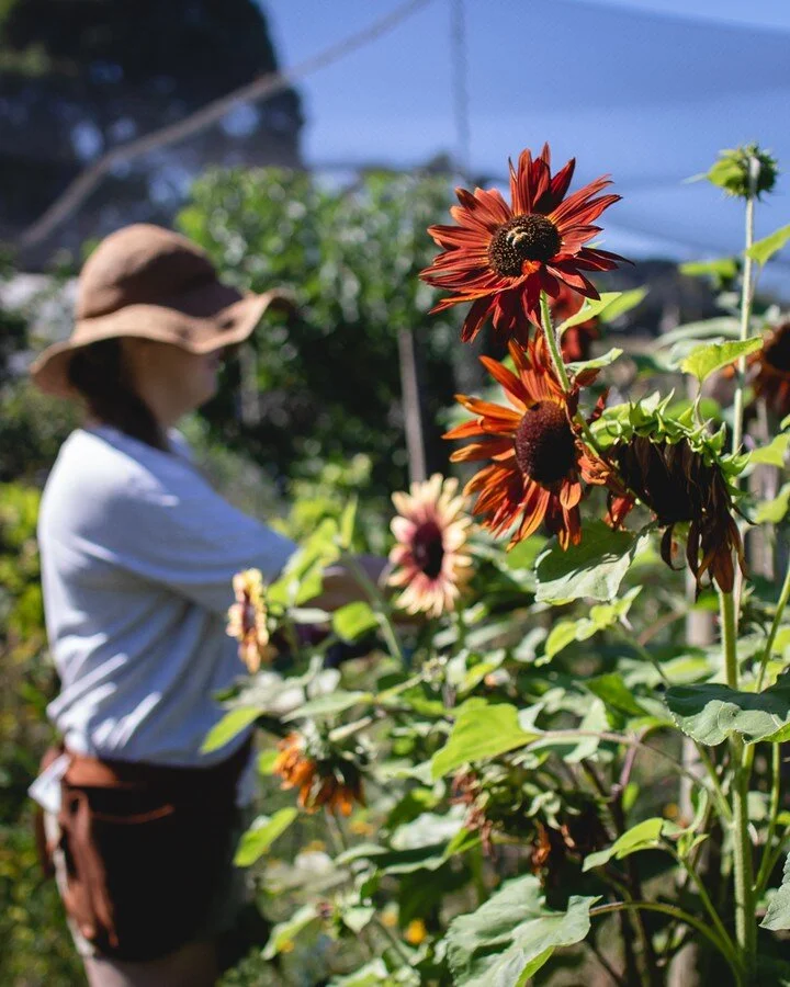 Gather Flower Farm