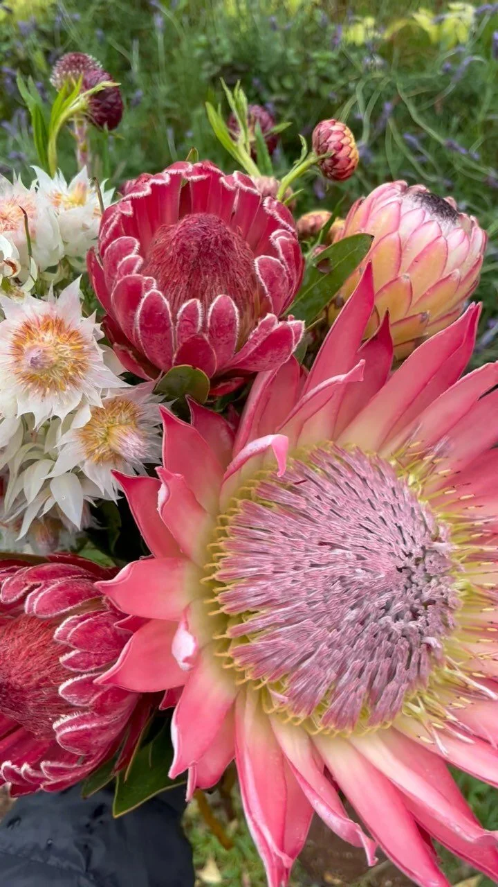 Gather Flower Farm