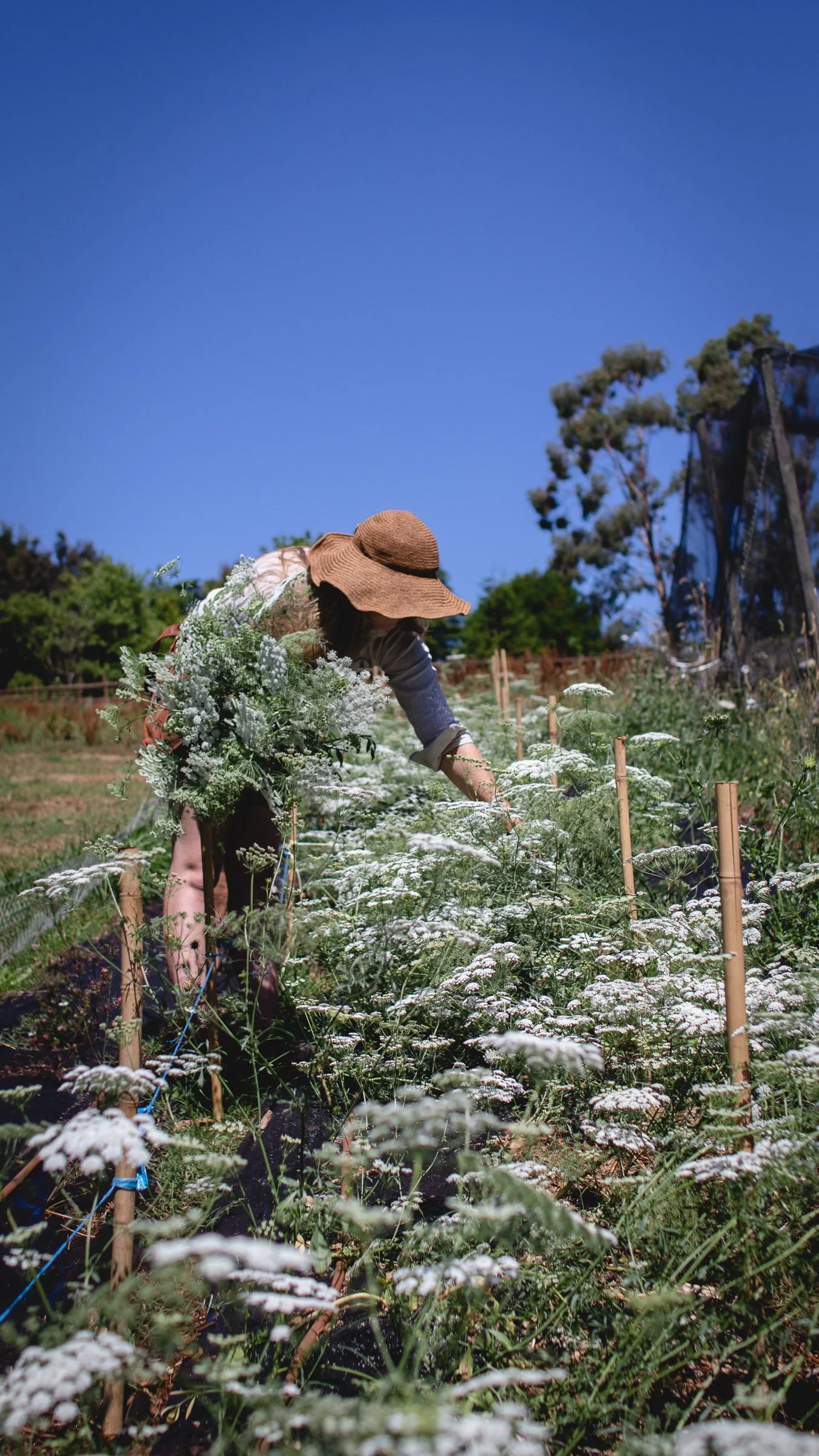 Workshops — Gather Flower Farm