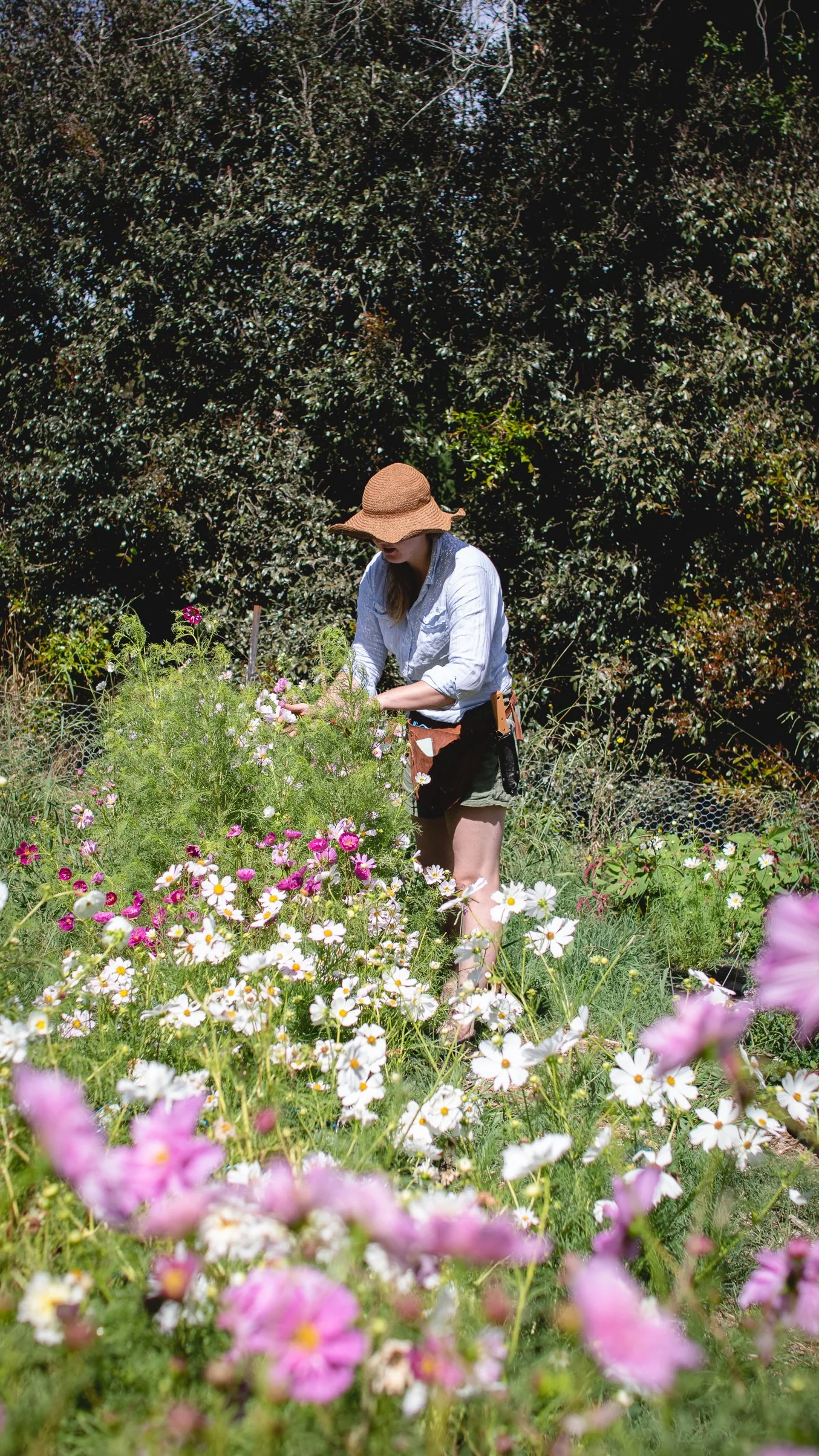 Workshops — Gather Flower Farm