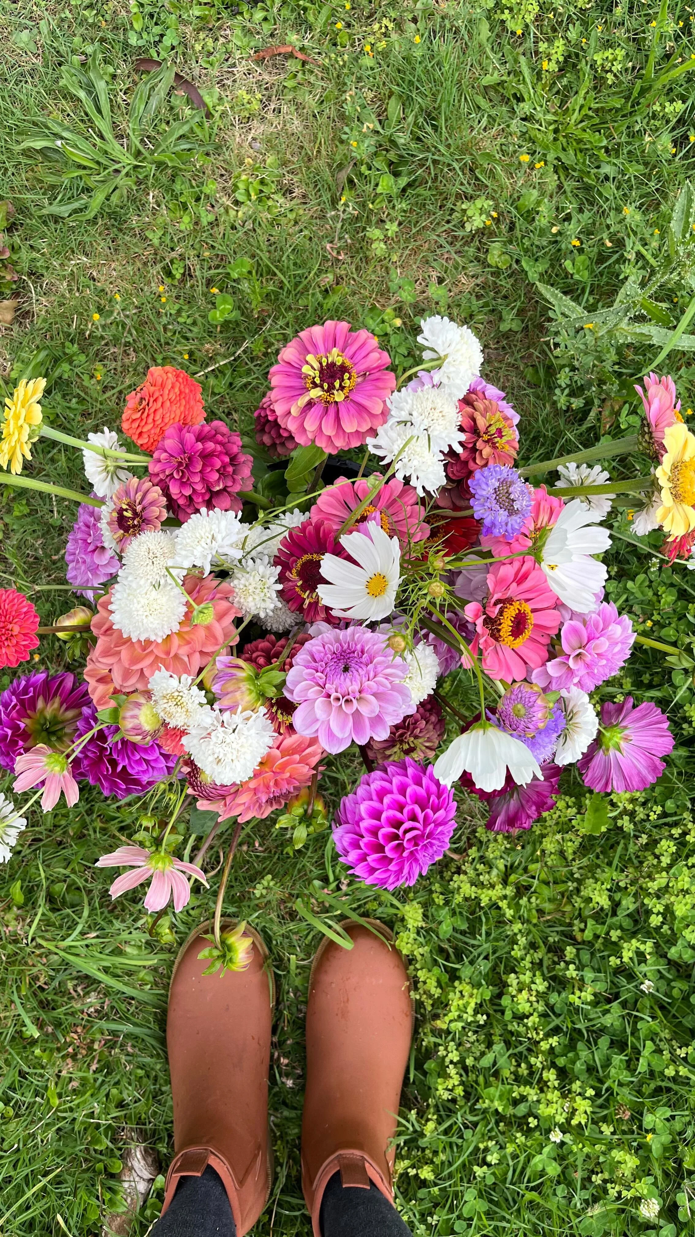 Gather Flower Farm