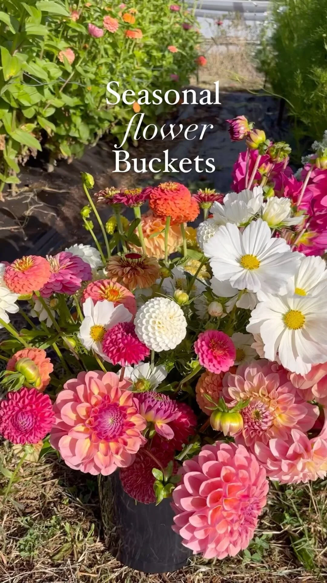 Gather Flower Farm