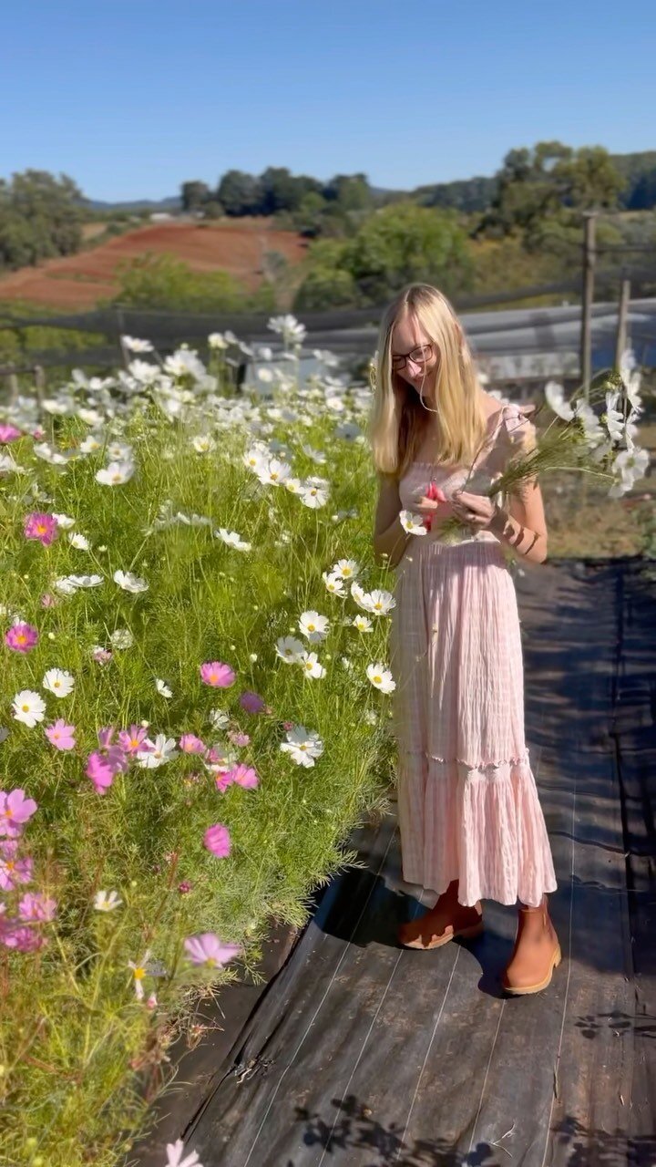 Gather Flower Farm