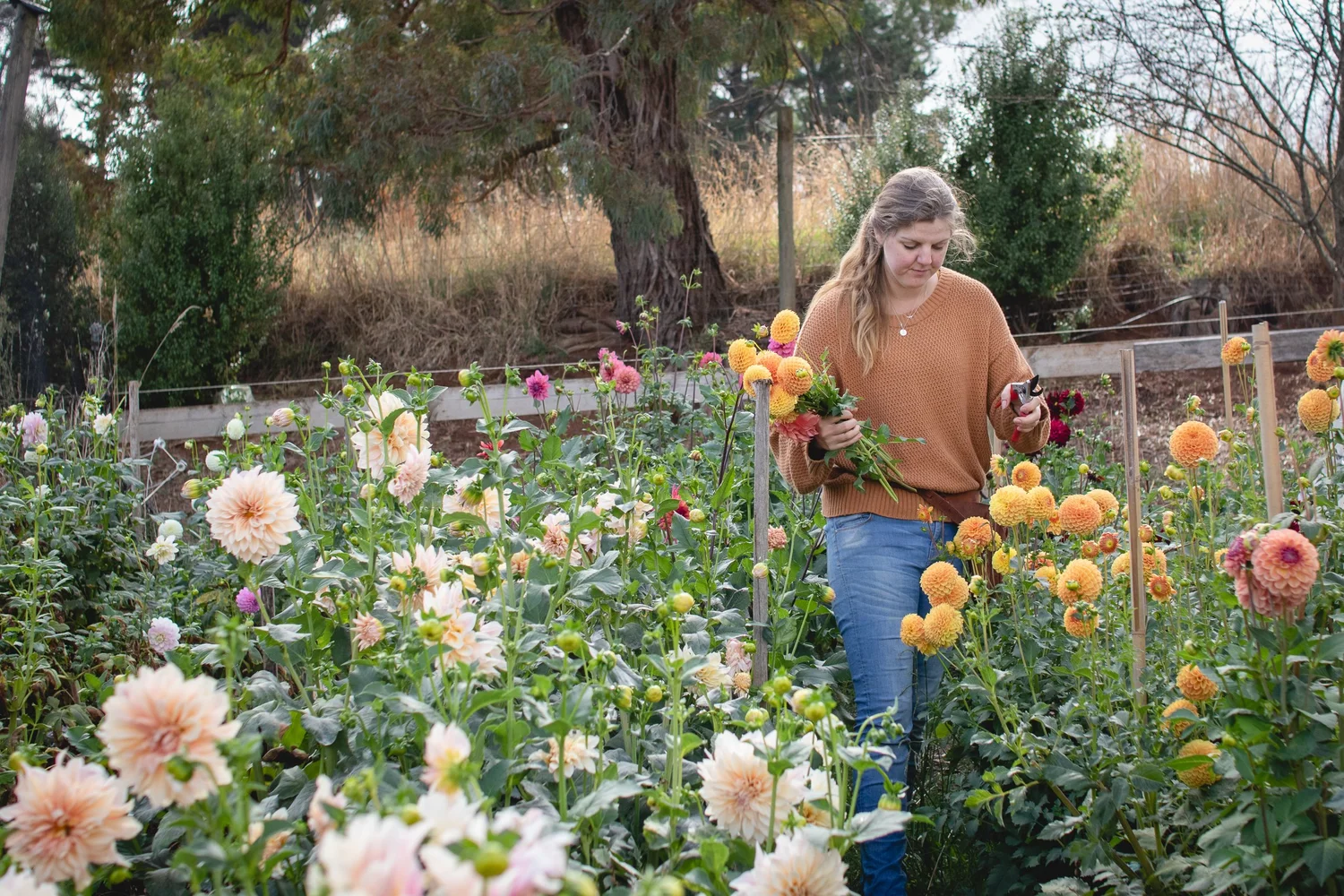 Gather Flower Farm
