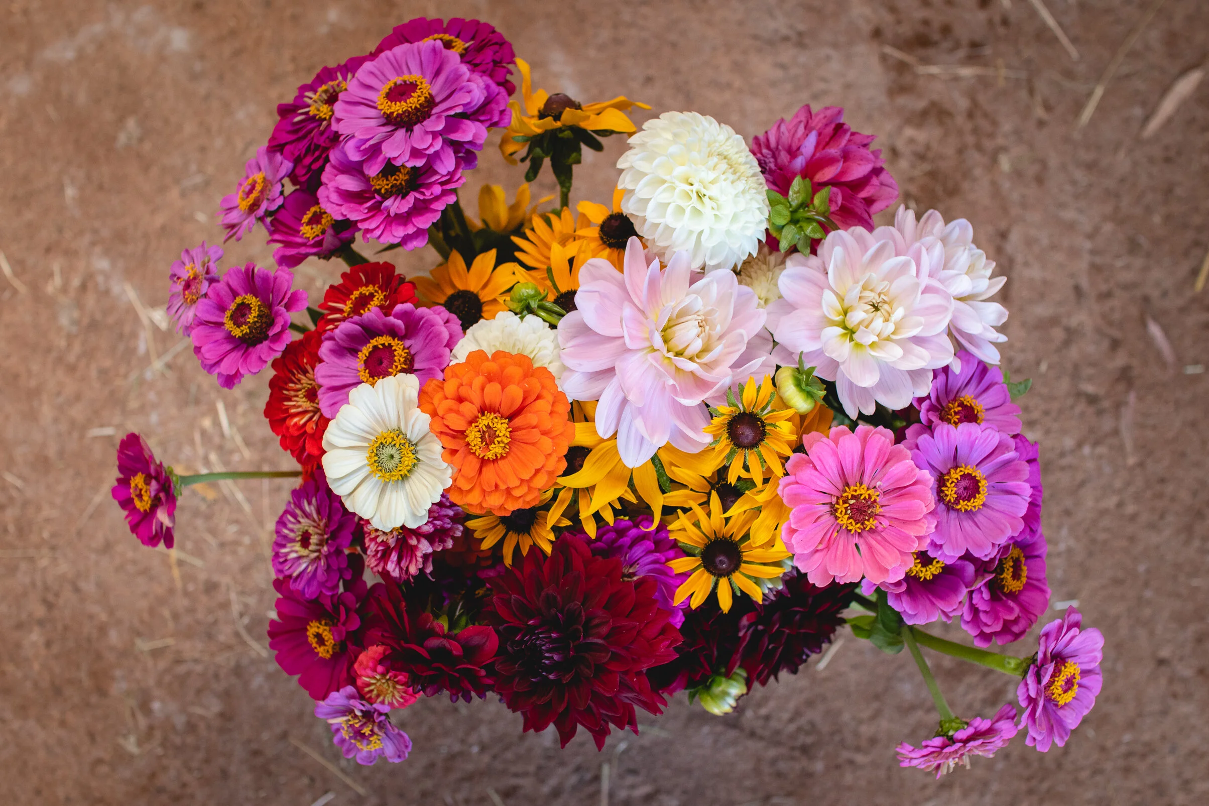 Seasonal Flower Buckets — Gather Flower Farm