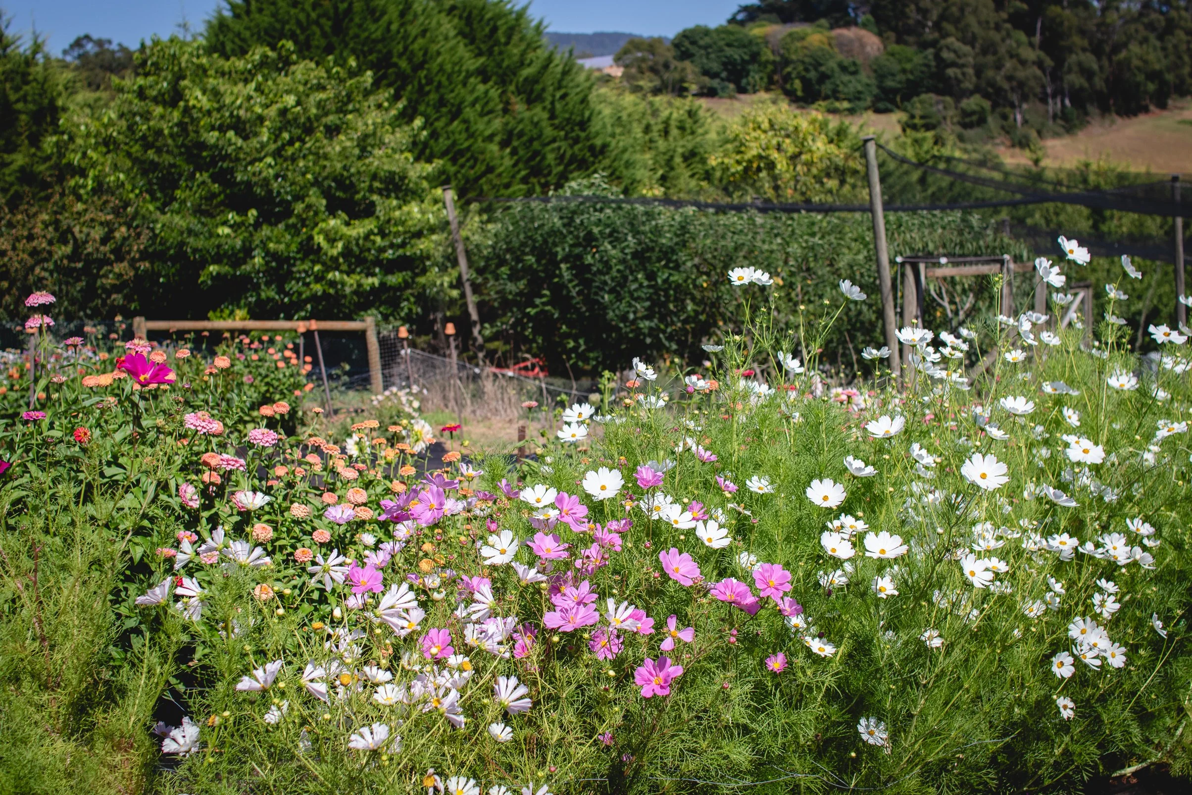 Workshops — Gather Flower Farm