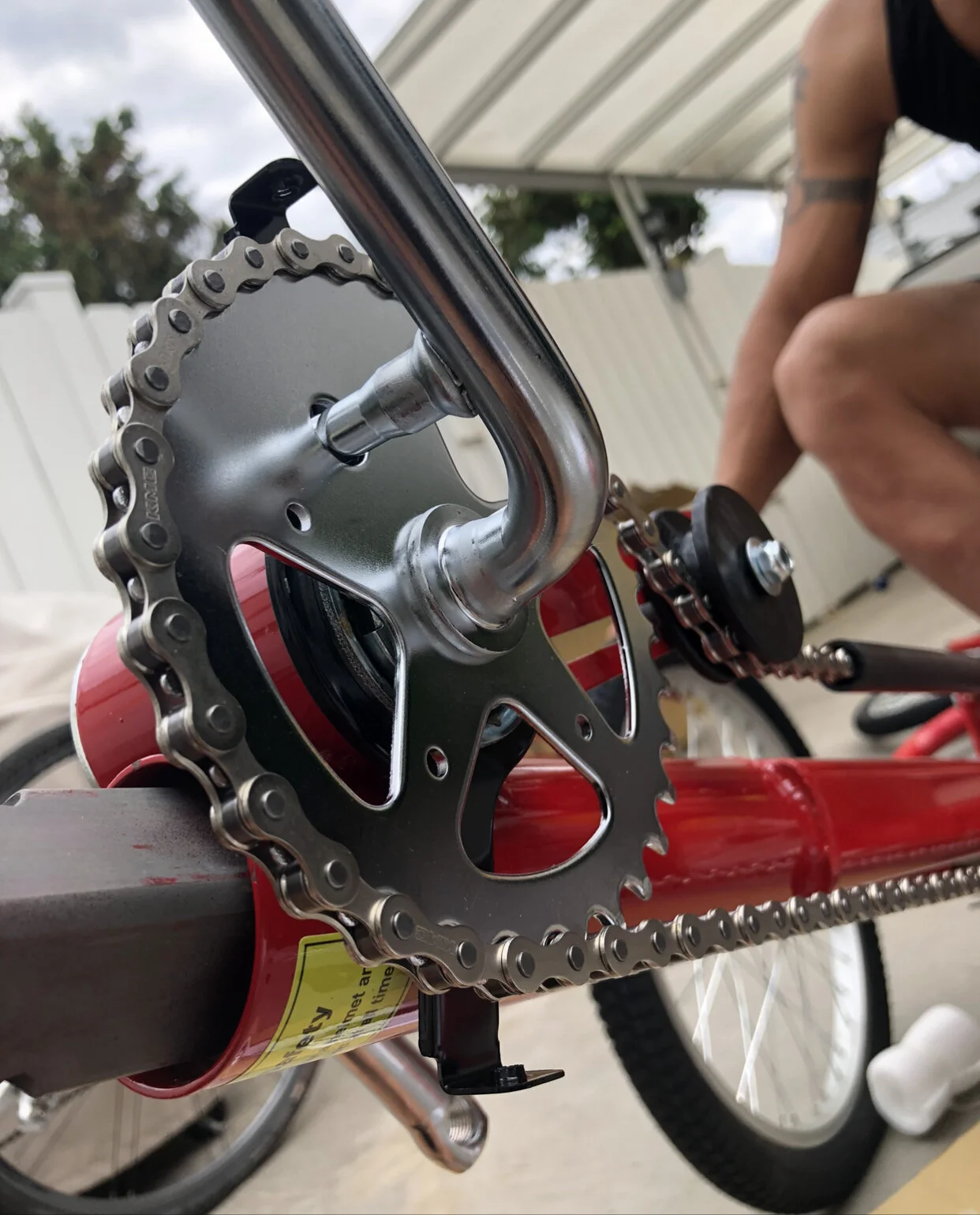 News and Gallery — Adapt Ability