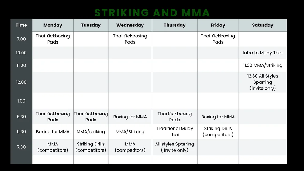 Cortex MMA: Best MMA Gym in Sydney: Muay Thai, Boxing, Kickboxing ...