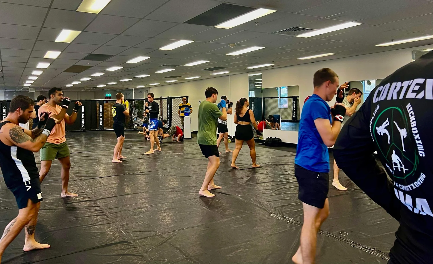 CORTEX MMA GYM SYDNEY - MMA, BJJ, Jiu Jitsu, Muay Thai, Kickboxing ...