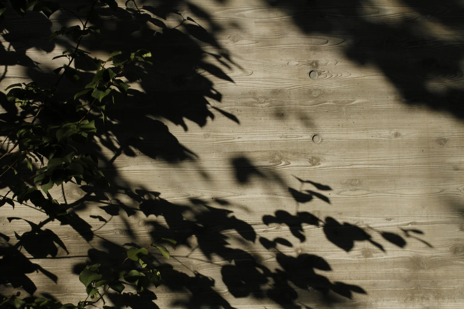 Nature and the Built Environment: Harmony, Resilience and Survival in ...
