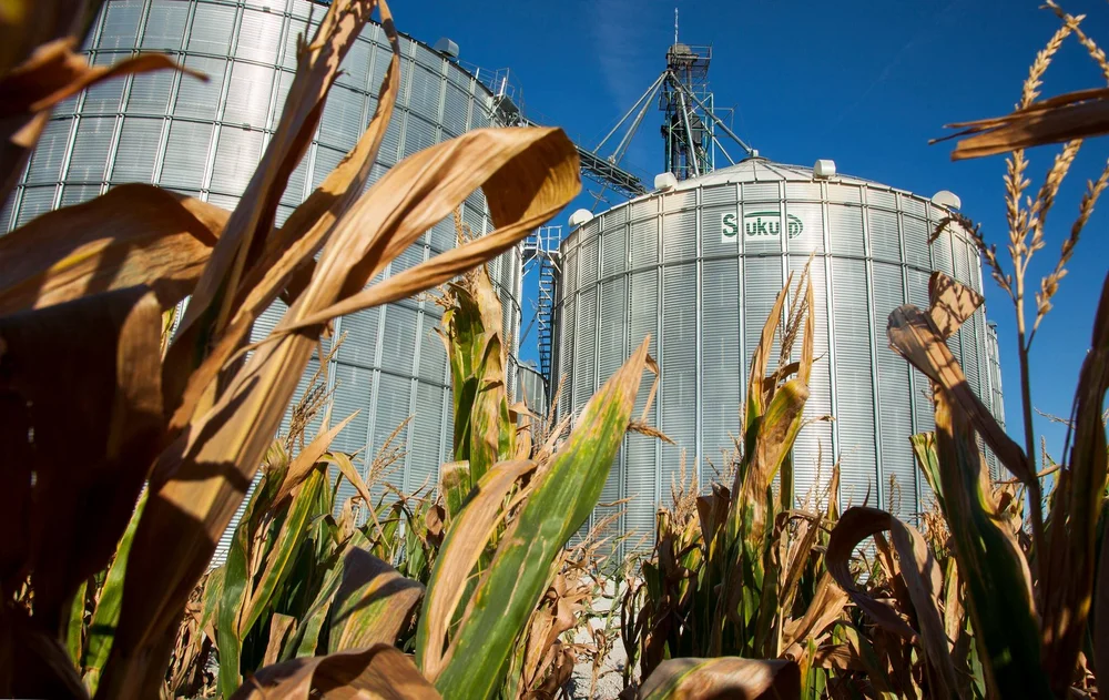 Sukup Grain Bin Sales — Moreland Farms