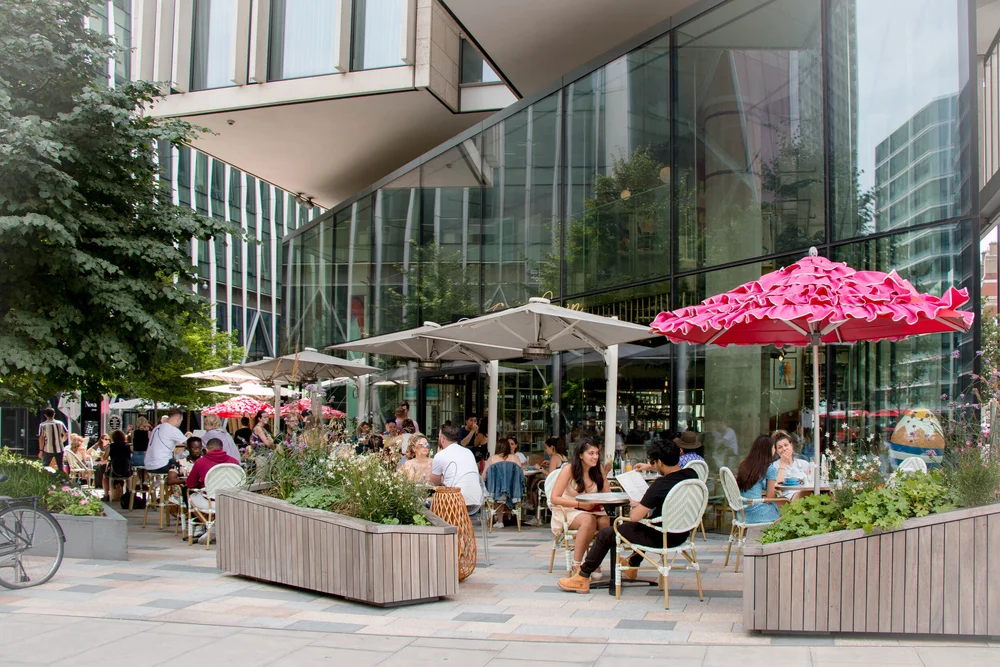 LOCATION - TIMMY — DAISY | GREEN