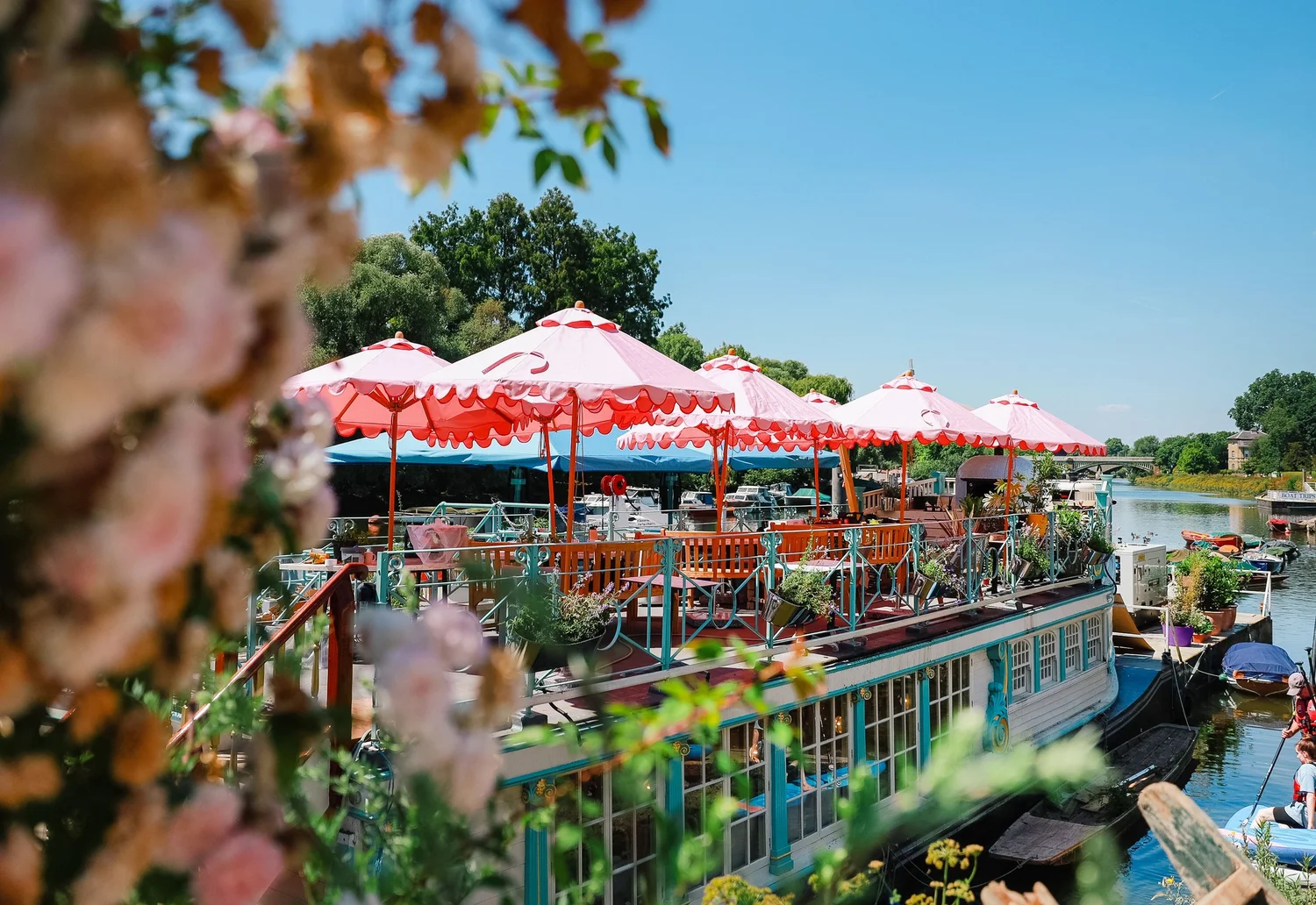 LOCATION - PEGGY — DAISY | GREEN