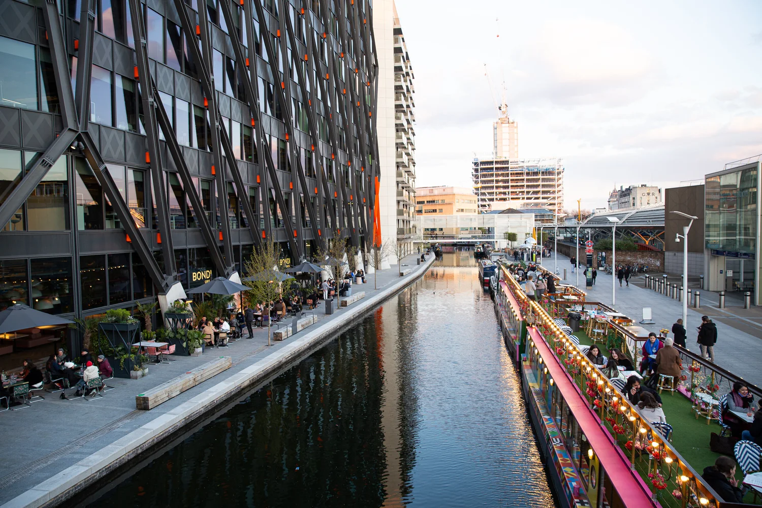 LOCATION - BONDI — DAISY | GREEN