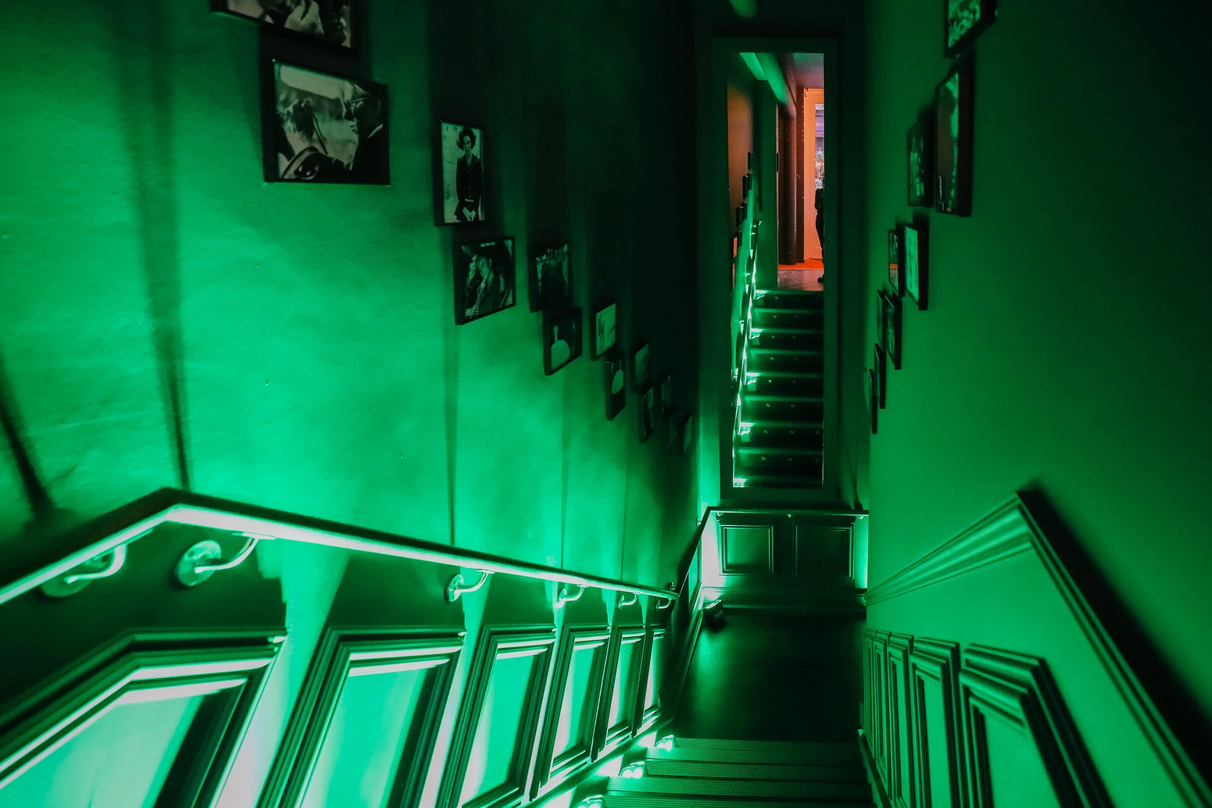 LOCATION - ZIGGY GREEN — DAISY | GREEN