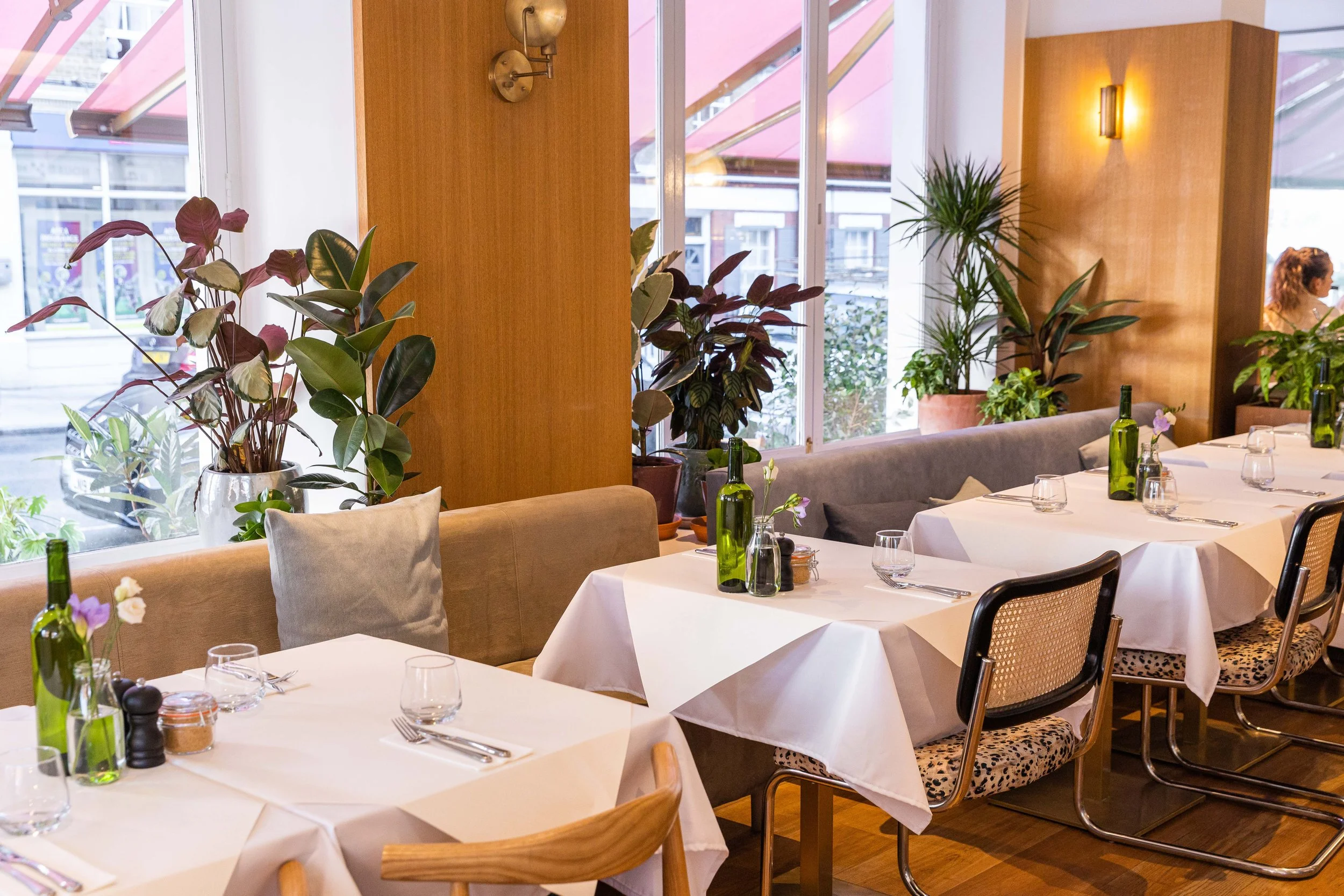 LOCATION - JOHNNY — DAISY | GREEN